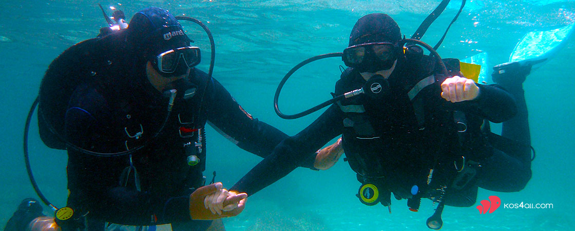 The Sponge Divers- Dive center Kos | Kos4all.com